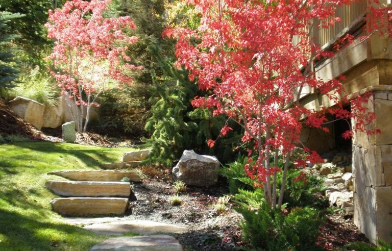 Landscape Design Services to Transform Your Vail, CO Home